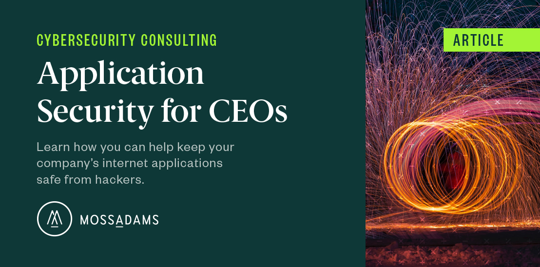 Five Things CEOs Need to Know About Application Security